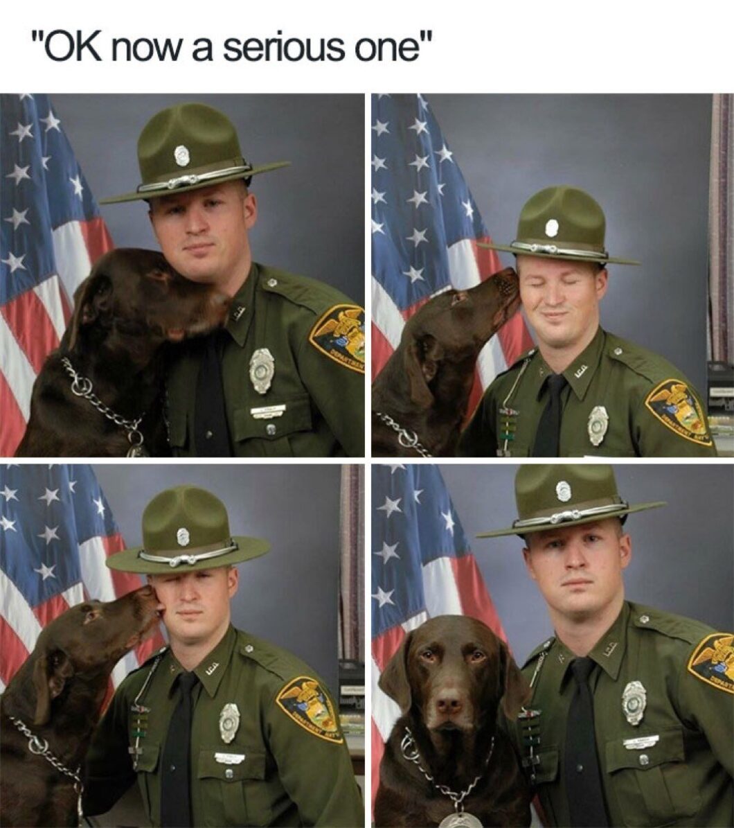 35 Awesome Dog Memes To Share with Fellow Dog Lovers | Inspirationfeed