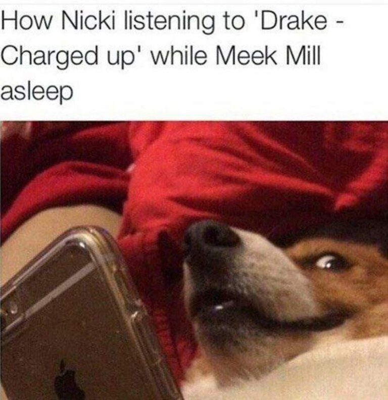 25 of the Best Drake Memes That The Internet Gave Us | Inspirationfeed
