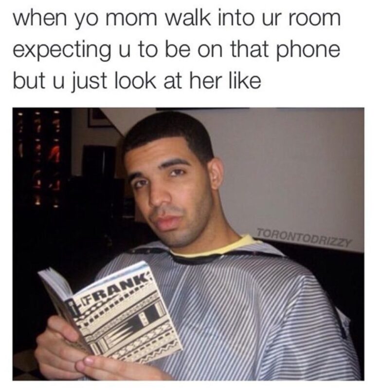25 of the Best Drake Memes That The Internet Gave Us | Inspirationfeed
