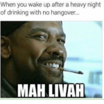 50 of the Best Drinking Memes for Those Who Love Booze | Inspirationfeed