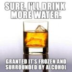 50 of the Best Drinking Memes for Those Who Love Booze | Inspirationfeed