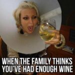 50 of the Best Drinking Memes for Those Who Love Booze | Inspirationfeed