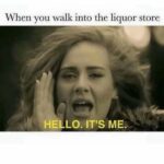 50 of the Best Drinking Memes for Those Who Love Booze | Inspirationfeed