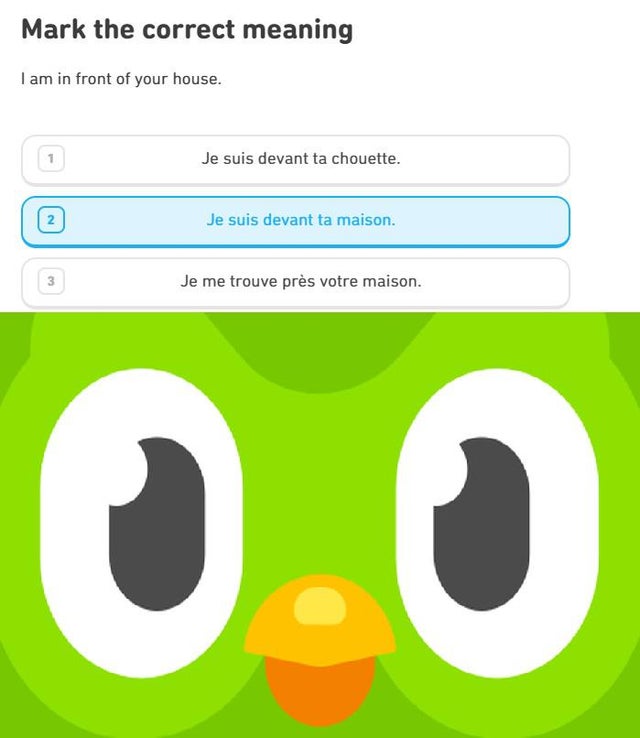 25 Funny Duolingo Memes that are Slightly Threatening - Inspirationfeed
