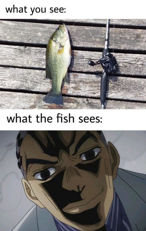 41 Hilarious Fishing Memes Anglers Can Get a Kick Out Of | Inspirationfeed