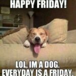 80 Funny Friday Memes To Kickoff That Long-Awaited Weekend ...