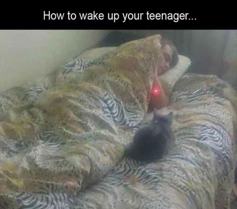128 Best Good Morning Memes and Jokes To Kickstart Your Day ...