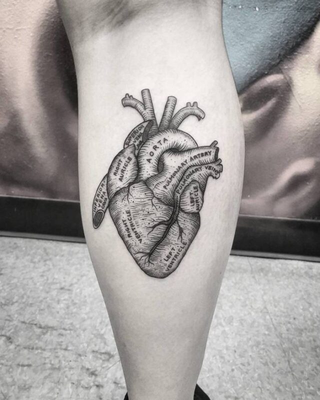 50 Inspiring Heart Tattoos To Get For Your Next Ink | Inspirationfeed
