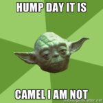 45 Hump Day Memes To Get You Through The Rest of the Week | Inspirationfeed