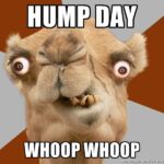 45 Hump Day Memes To Get You Through The Rest of the Week | Inspirationfeed