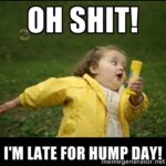 45 Hump Day Memes To Get You Through The Rest of the Week | Inspirationfeed