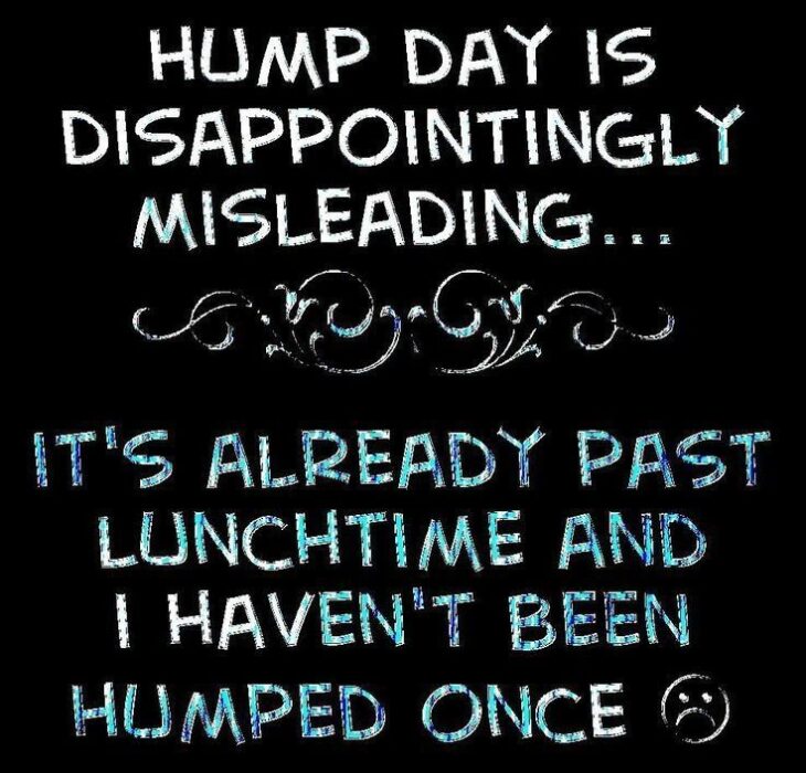 45 Hump Day Memes To Get You Through The Rest of the Week | Inspirationfeed
