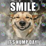 45 Hump Day Memes To Get You Through The Rest of the Week | Inspirationfeed