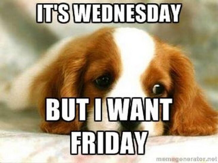 45 Hump Day Memes To Get You Through The Rest of the Week | Inspirationfeed