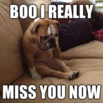 100 of the Best I Miss You Memes To Send To Your Bae | Inspirationfeed