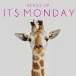 70 Funny Monday Memes To Help You Get Through The Day | Inspirationfeed