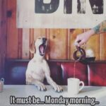 70 Funny Monday Memes To Help You Get Through The Day | Inspirationfeed