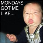 70 Funny Monday Memes To Help You Get Through The Day | Inspirationfeed