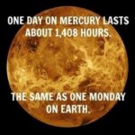 70 Funny Monday Memes To Help You Get Through The Day | Inspirationfeed