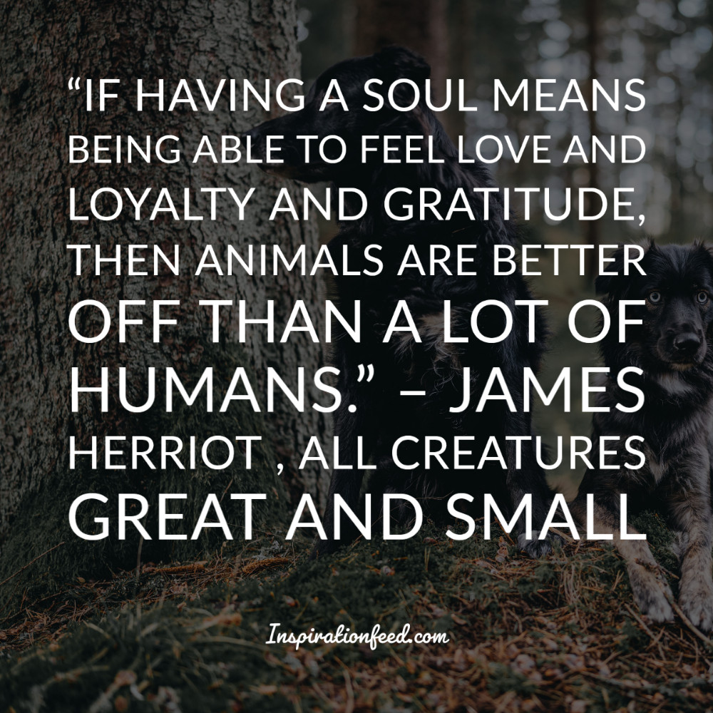 85 Inspiring Quotes For the Loyal and the Brave | Inspirationfeed