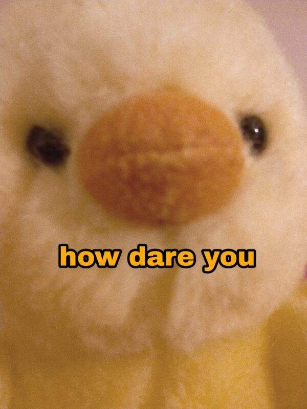 55 Perfect Reaction Meme Replies Your Can Use | Inspirationfeed