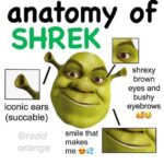 51 of the Best Shrek Memes The Internet Made Popular | Inspirationfeed