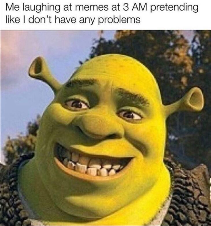 51 of the Best Shrek Memes The Internet Made Popular | Inspirationfeed
