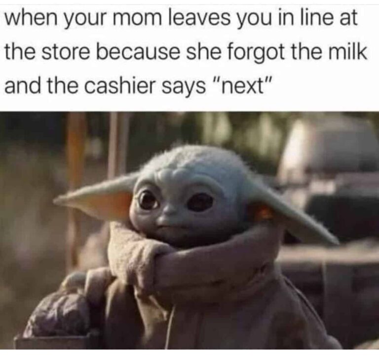 55 of the Funniest Star Wars Memes that Every Fan Can Relate To ...