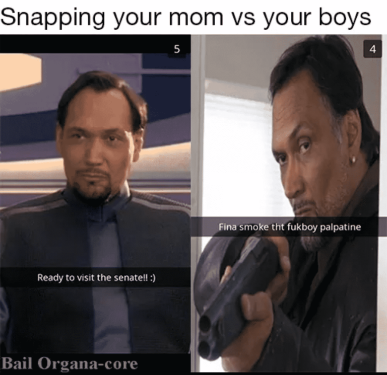 55 of the Funniest Star Wars Memes that Every Fan Can Relate To ...