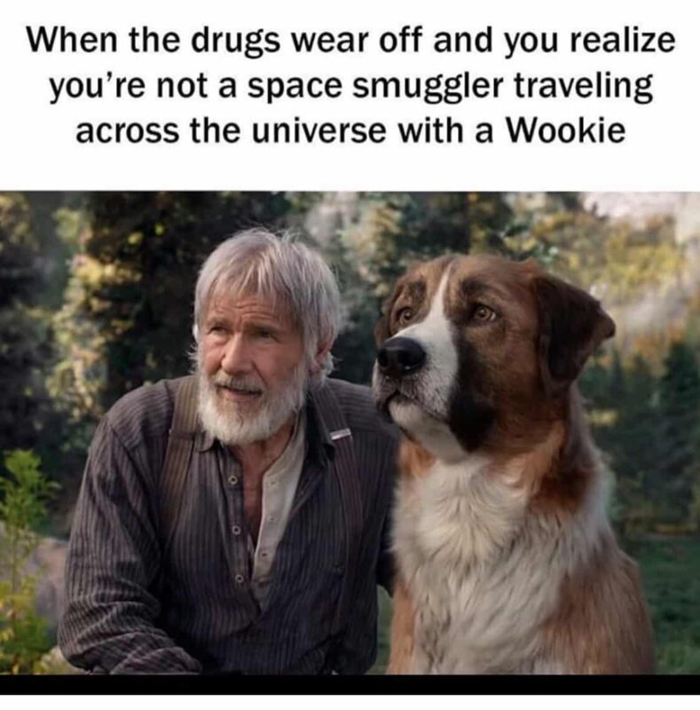 55 of the Funniest Star Wars Memes that Every Fan Can Relate To ...