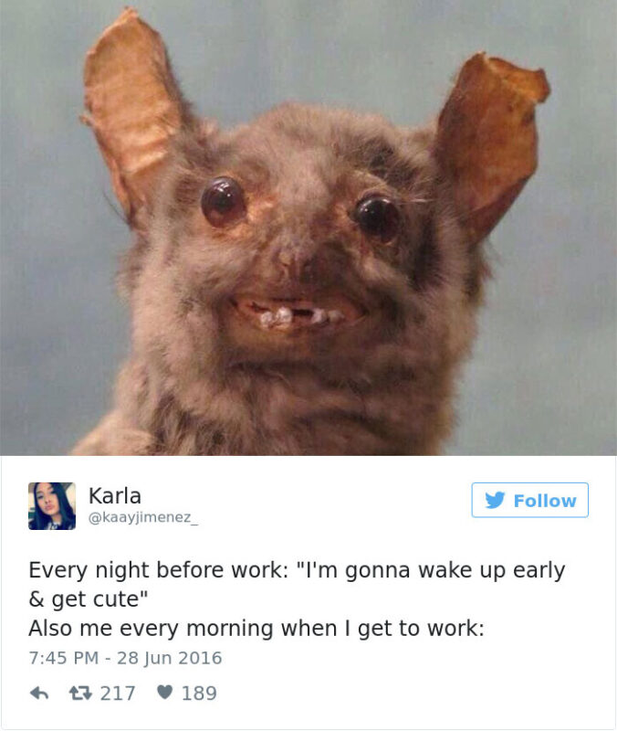 45 Relatable Work Memes for Days When You Just Can’t | Inspirationfeed