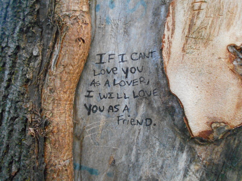 50 Inspiring Aesthetic Quotes That Hit Home | Inspirationfeed
