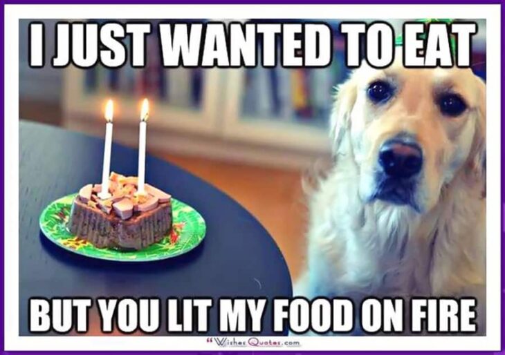 104 Funny and Cute Happy Birthday Memes to Send to Friends and Family ...
