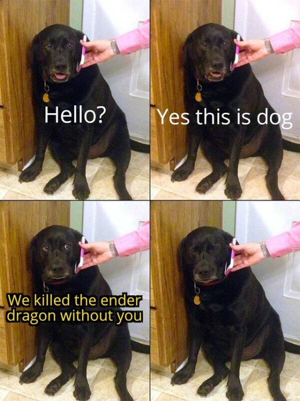 70 Dank Minecraft Memes That Only Fans Can Relate To | Inspirationfeed