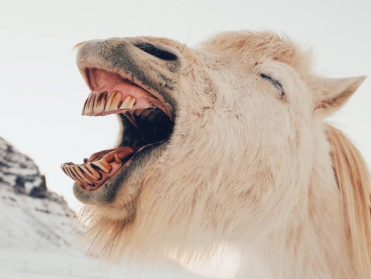 55 Perfect Reaction Meme Replies Your Can Use Inspirationfeed