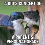 100 Funniest Mom Memes | Inspirationfeed