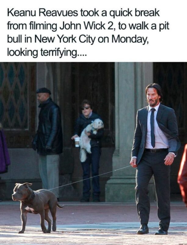 60 Wholesome Keanu Reeves Memes | Inspirationfeed