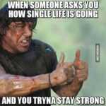 65 Hilariously Accurate Memes About Being Single | Inspirationfeed