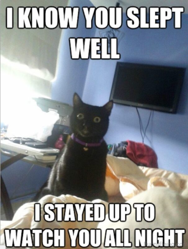 70 Memes You Will Relate To If You Love To Sleep | Inspirationfeed