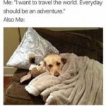 70 Memes You Will Relate To If You Love To Sleep | Inspirationfeed