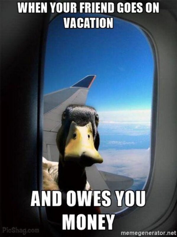 35 Funny Travel Memes You Will Easily Relate To | Inspirationfeed