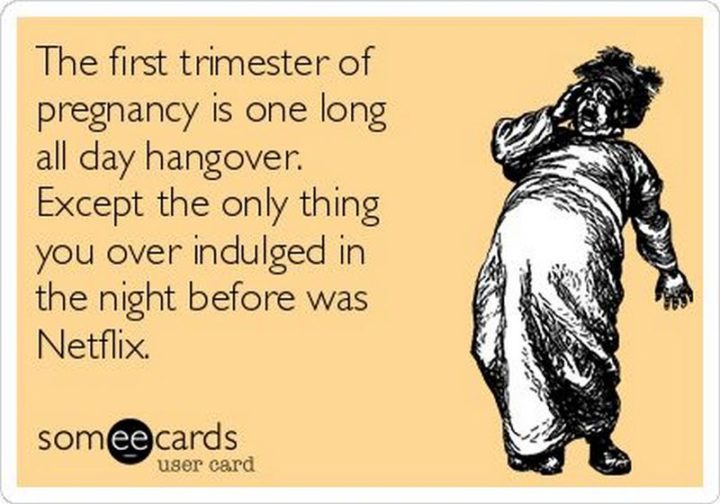 71 Funniest Pregnancy Memes On The Web - Inspirationfeed