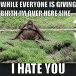 71 Funniest Pregnancy Memes On The Web | Inspirationfeed