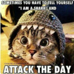 55 Funny Motivational Memes that will Uplift Your Spirits | Inspirationfeed