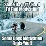 55 Funny Motivational Memes that will Uplift Your Spirits | Inspirationfeed