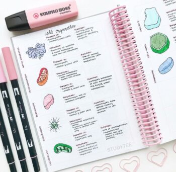 25 Examples of Aesthetic Note Layouts To Steal Right Now | Inspirationfeed