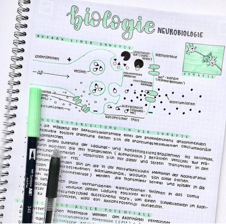 25 Examples of Aesthetic Note Layouts To Steal Right Now | Inspirationfeed