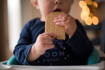 What Are Graham Crackers And Why Were They Invented? | Inspirationfeed
