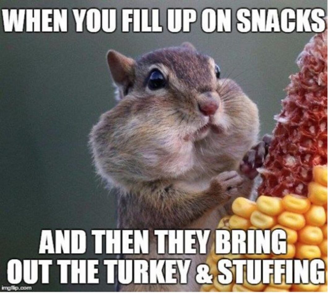 50 Silly Thanksgiving Memes Your Whole Family Can Relate To ...