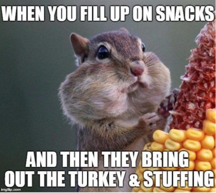 50 Silly Thanksgiving Memes Your Whole Family Can Relate To ...